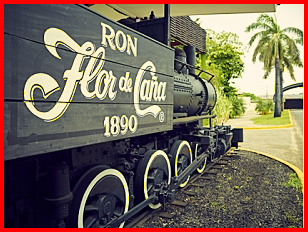 Flor de Caña je rum s neutrální uhlíkovou stopou - České novinky